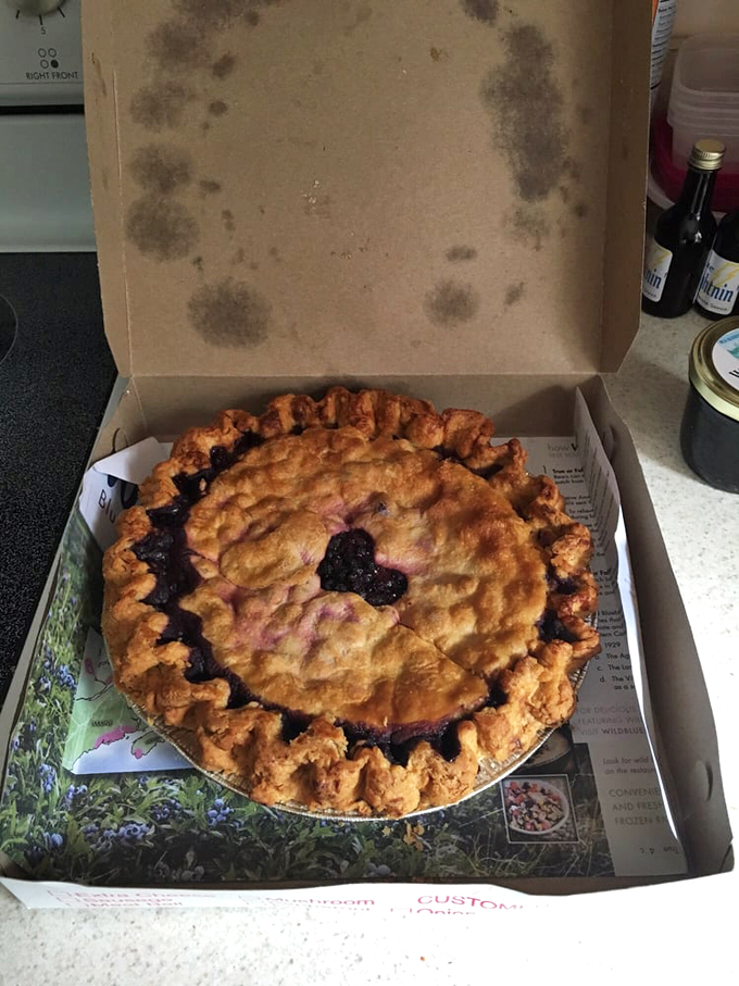 wild blueberry land 6