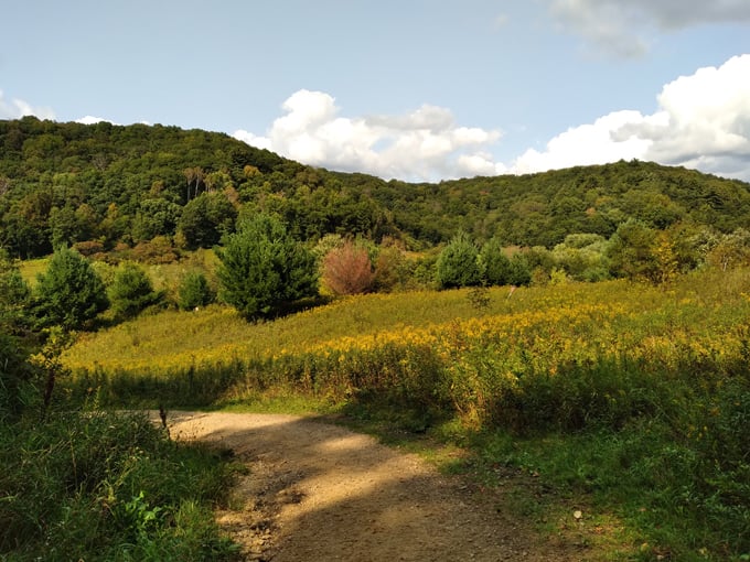 wildcat mountain state park 7