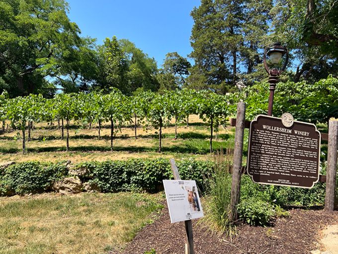 wollersheim winery & distillery 3