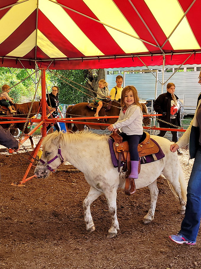 yates cider mill 6