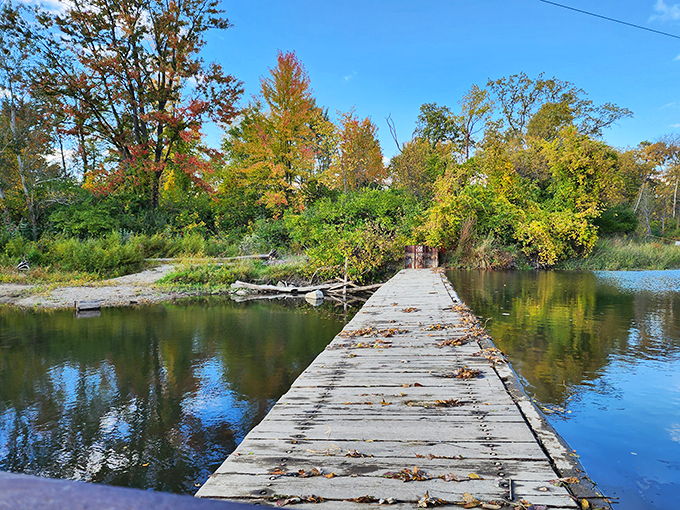 yates cider mill 8