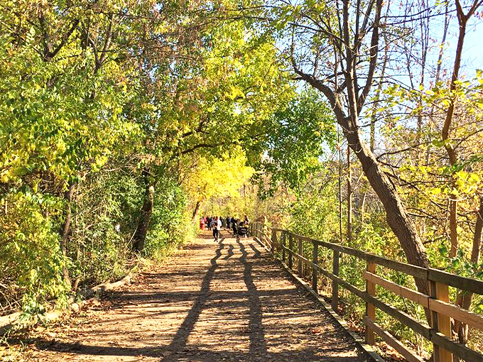 yates cider mill 9