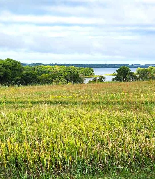 almost forgotten park minnesota ftr