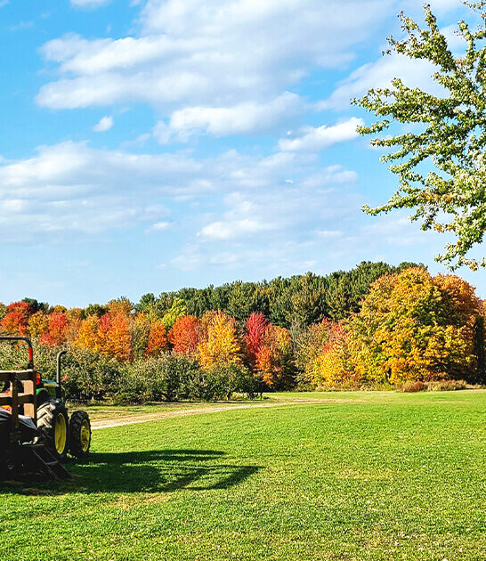 apple cider donuts ohio ftr