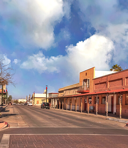 arizona stone beehives ftr