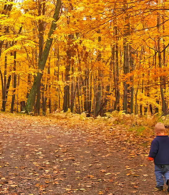autumn state park minnesota ftr