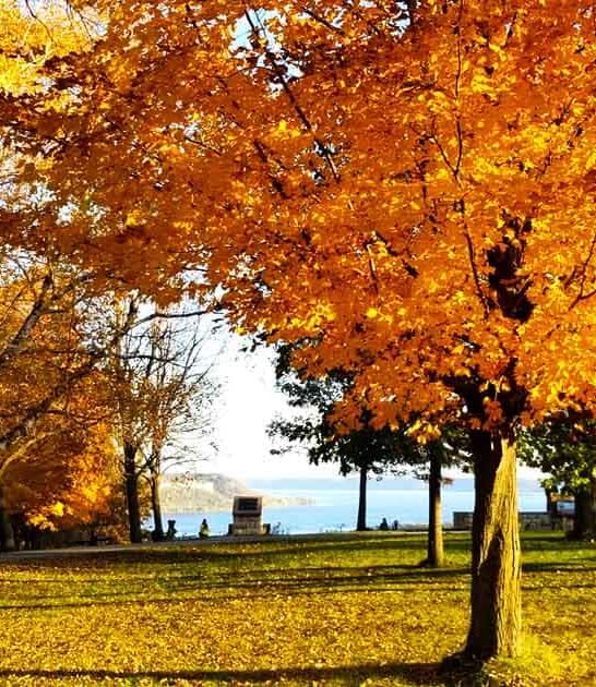 beautiful minnesota state park ftr