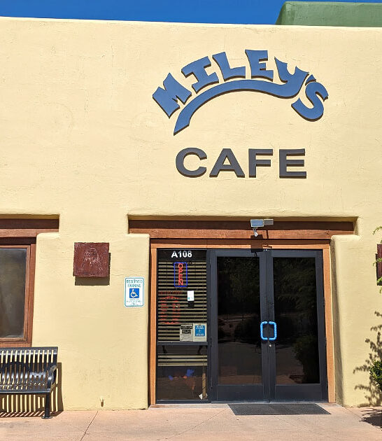 best blueberry muffin arizona ftr