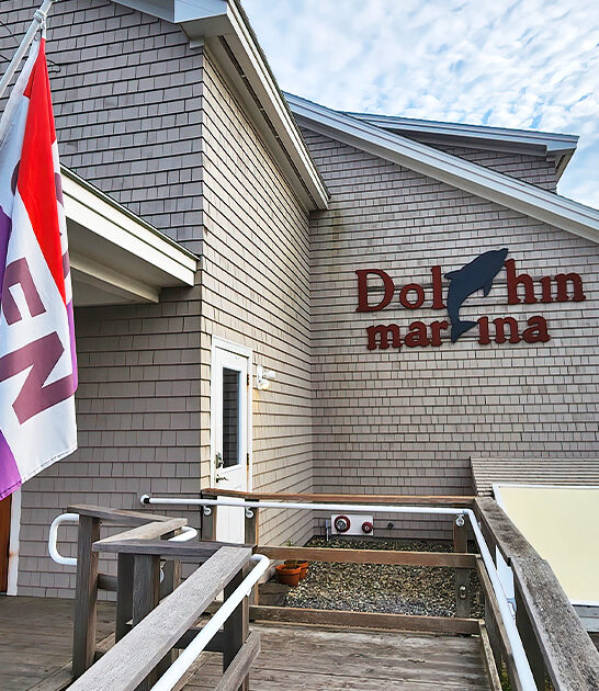 best blueberry muffin maine ftr