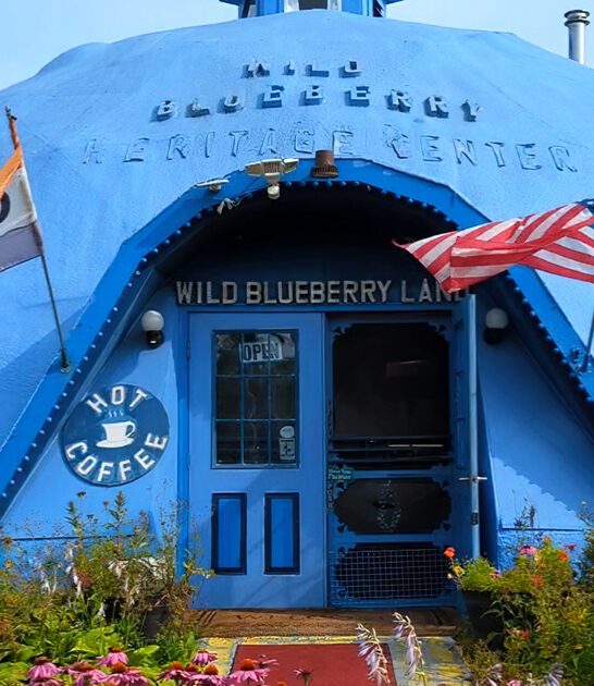 best blueberry pies maine ftr