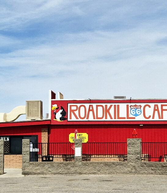 best buffalo burgers arizona ftr