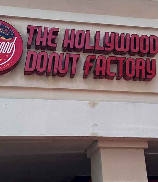 best cheese bagels florida ftr