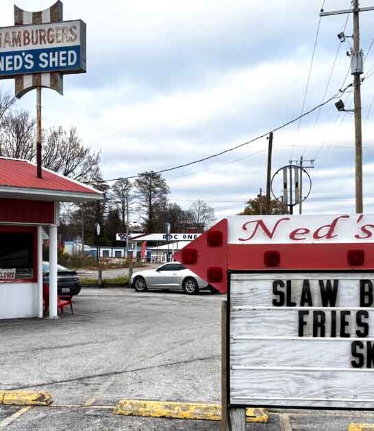 best cheeseburgers illinois ftr