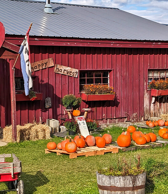 best cider donuts vermont ftr