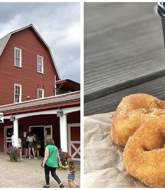 best-cinnamon-donuts-michigan FTR