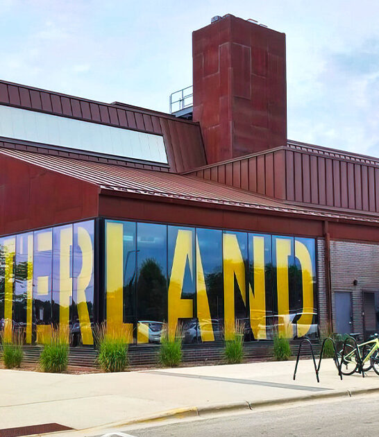 best duck wings wisconsin ftr