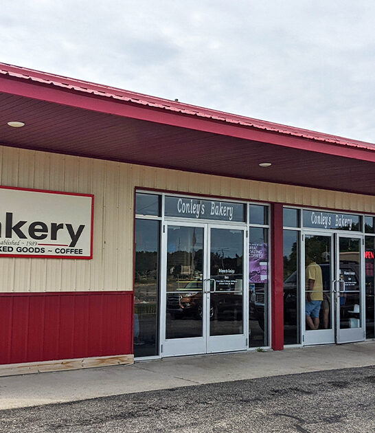 best fresh donuts michigan ftr