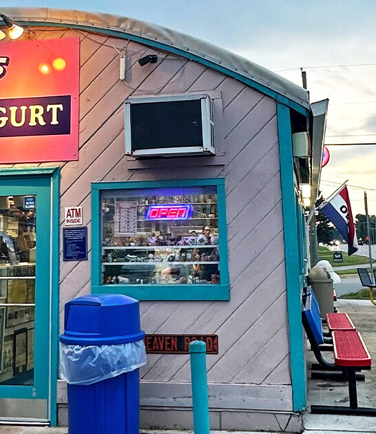 best frozen yogurt michigan ftr