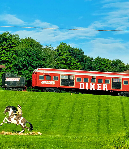 best hot dogs ohio ftr