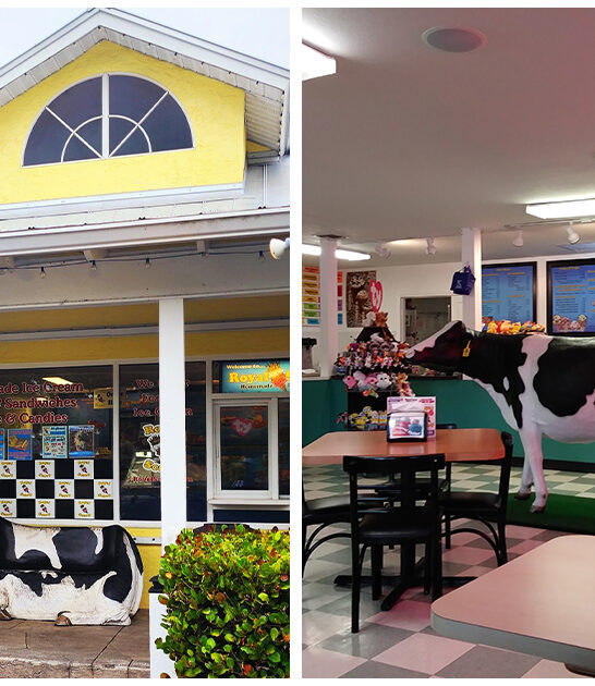 best-ice-cream-florida ftr