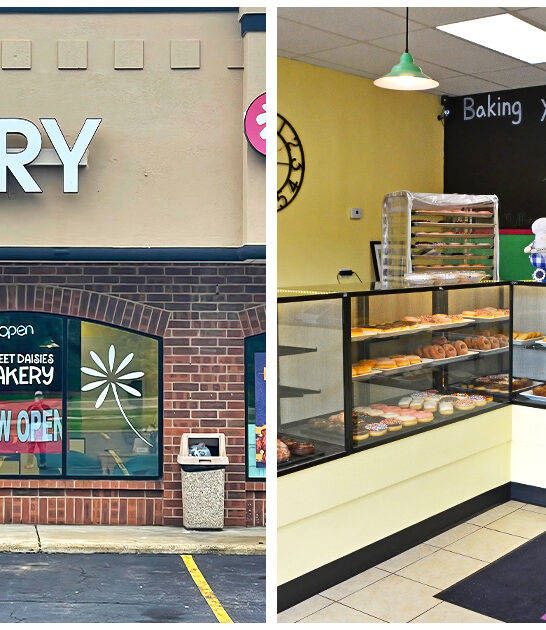 best-lemon-cake-illinois FTR