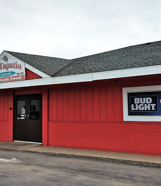 best mexican food michigan ftr