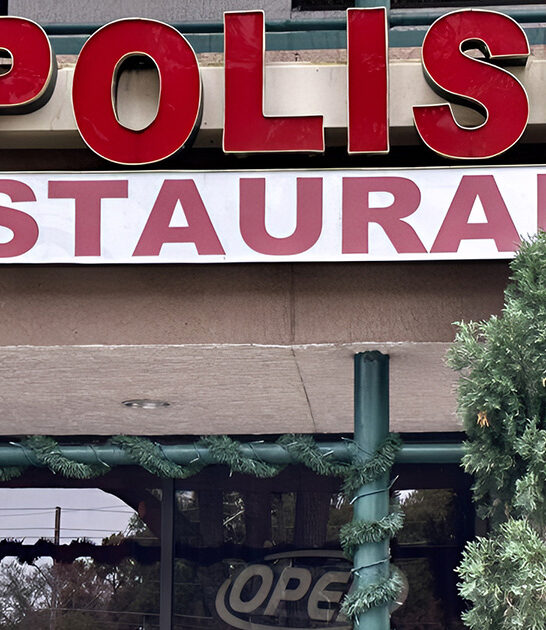 best polish dumplings florida ftr