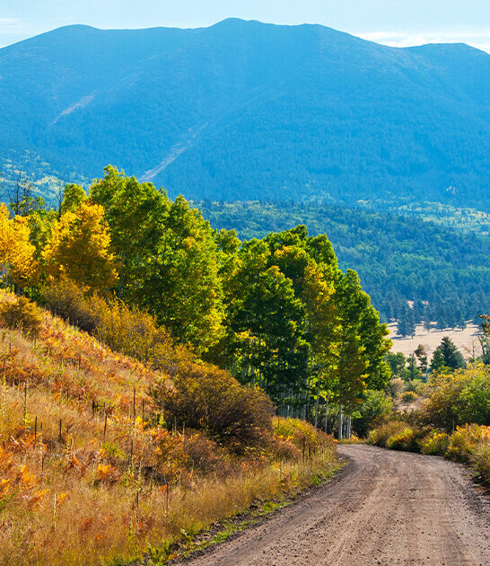 best scenic drive arizona ftr