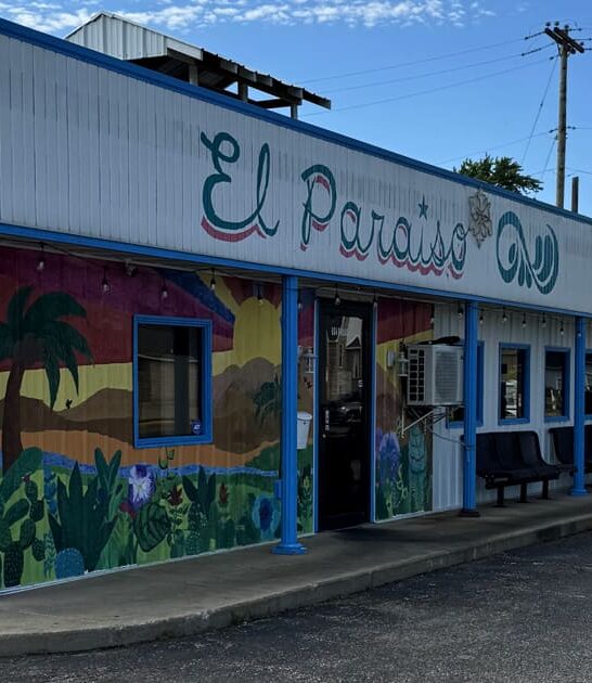 best tamales michigan ftr