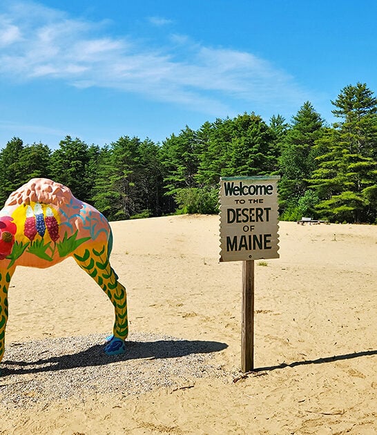 bizarre land desert maine ftr