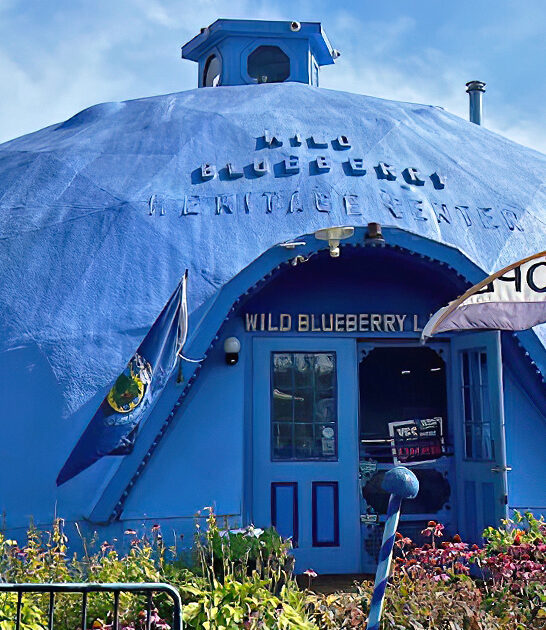 blueberry ice cream maine ftr