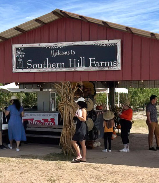 blueberry lemonade florida farm ftr