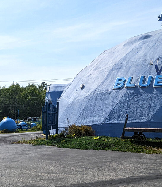 blueberry pies bakery maine ftr