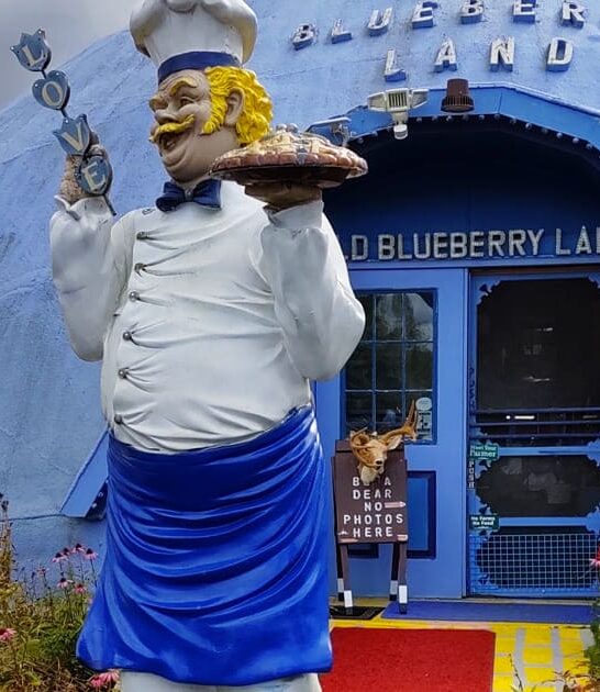 blueberry shaped bakery maine ftr