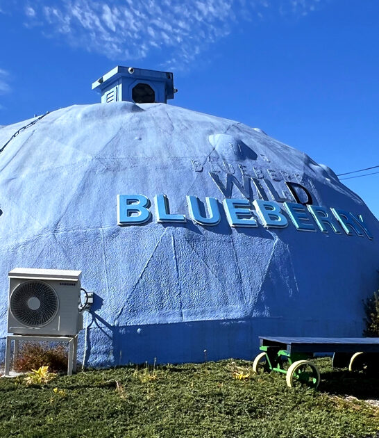 blueberry themed bakeshop maine ftr