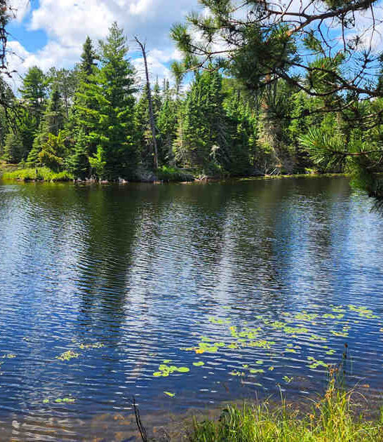 breathtaking minnesota state park ftr