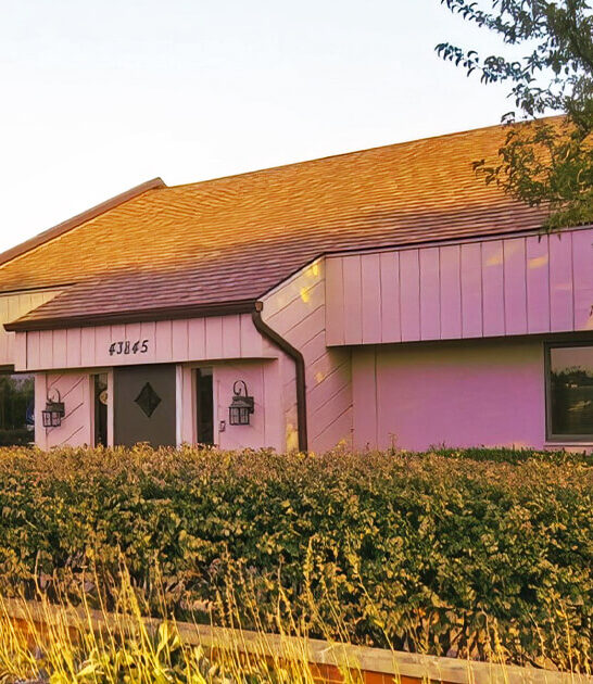 burgers no frills michigan ftr