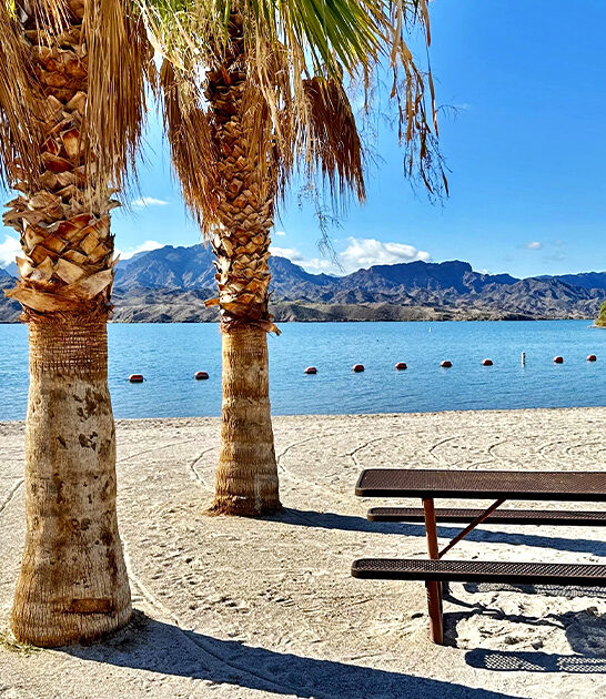 carribean worthy beach arizona ftr