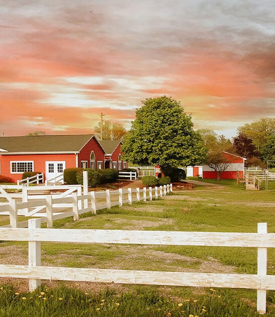 charming apple orchard michigan ftr