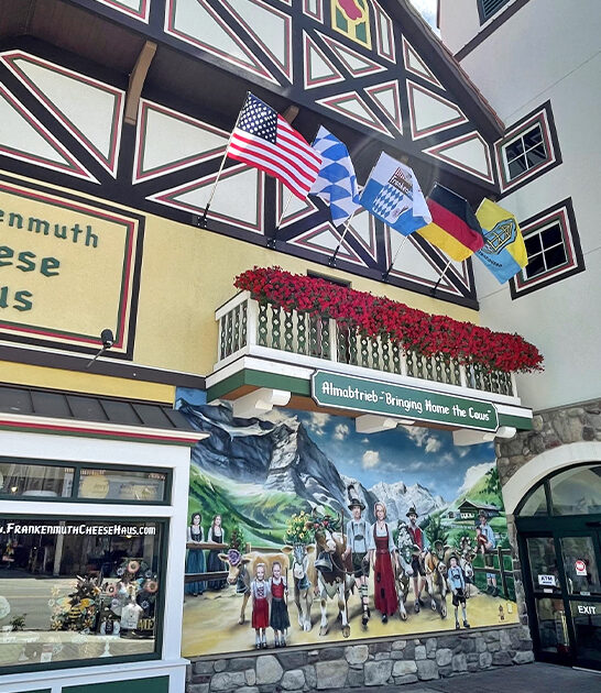 charming cheese shop michigan ftr