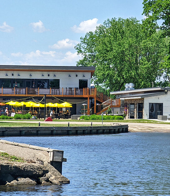 cheese curds wisconsin restaurant ftr