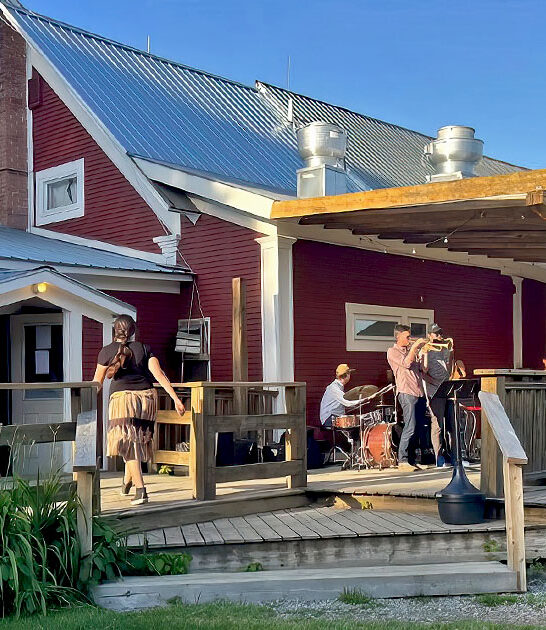 chicken wings vermont pizzeria ftr