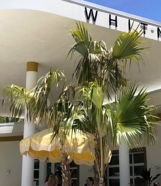 cool retro restaurant florida ftr