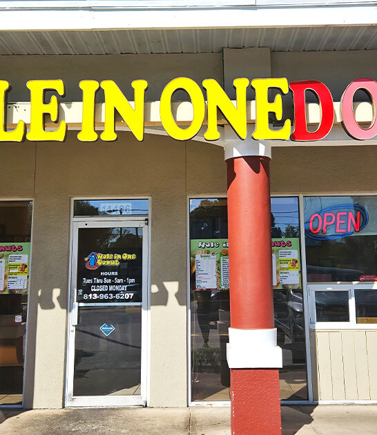 delicious apple fritters florida ftr