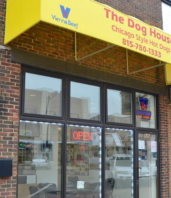 delicious chicago dog illinois ftr