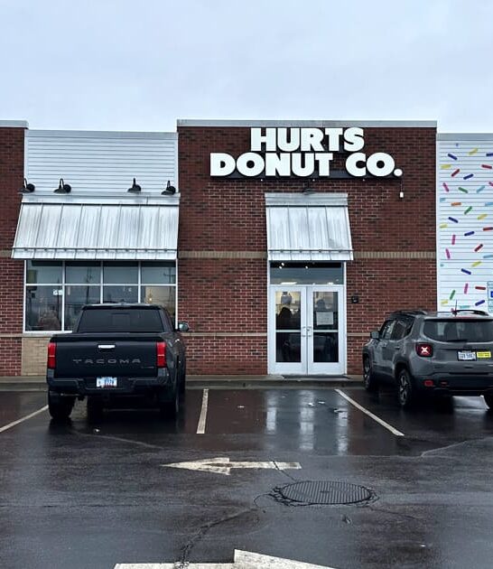 delicious cinnamon rolls ohio ftr