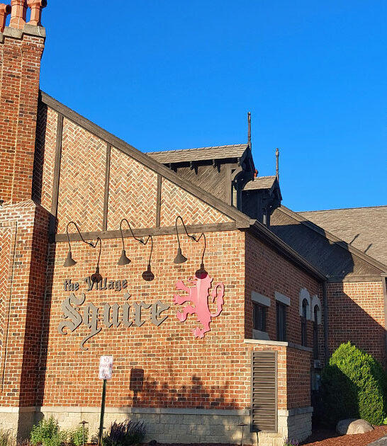 delicious gyro sandwiches illinois ftr