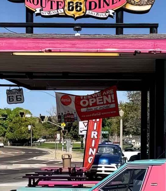 delicious hot dogs arizona ftr