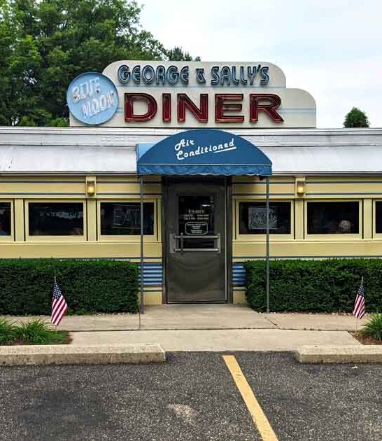 delicious hot dogs michigan ftr