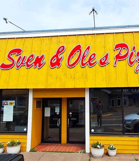 delicious pizzas minnesota restaurant ftr